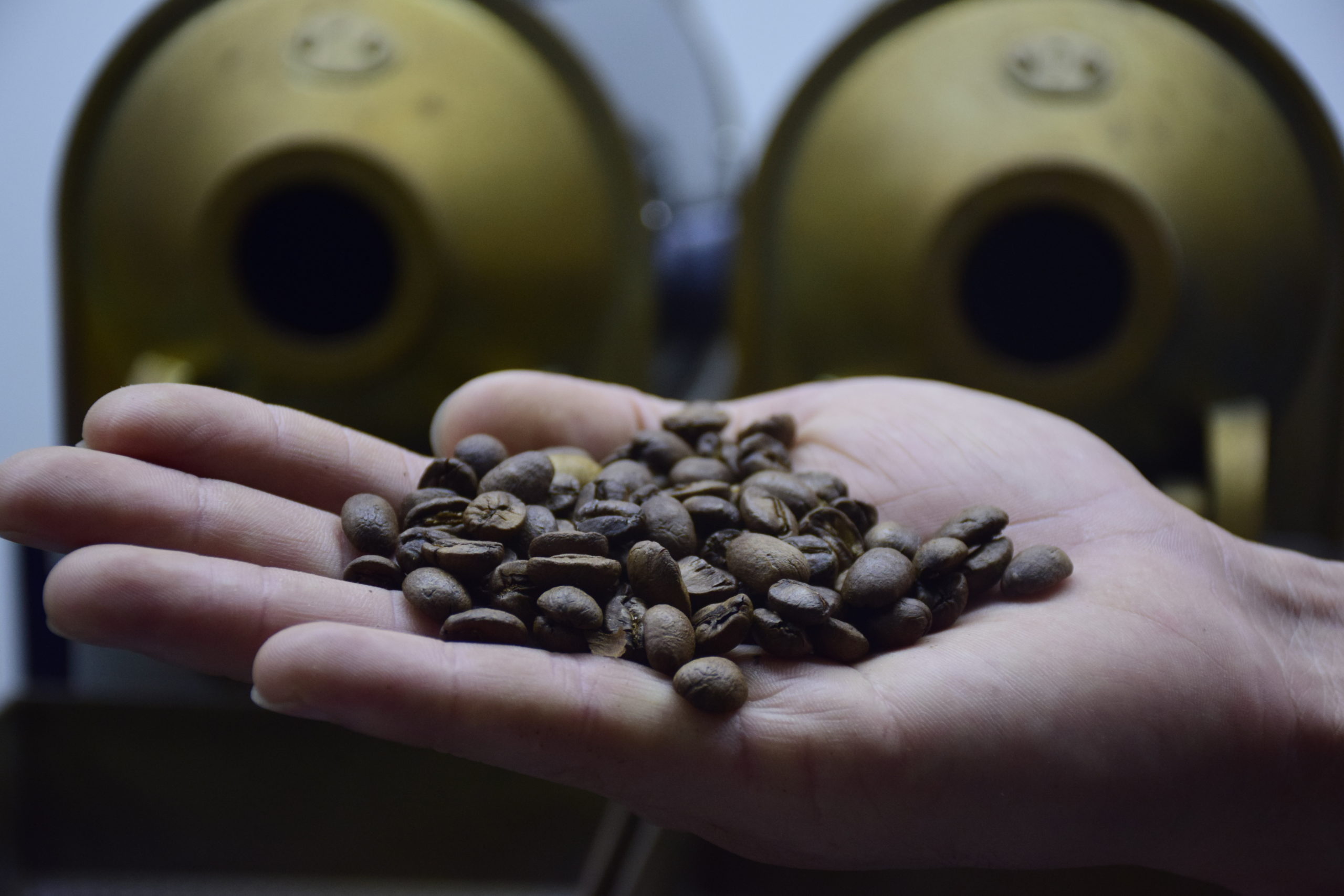 Un reto nueva cosecha de café - Agrodiario