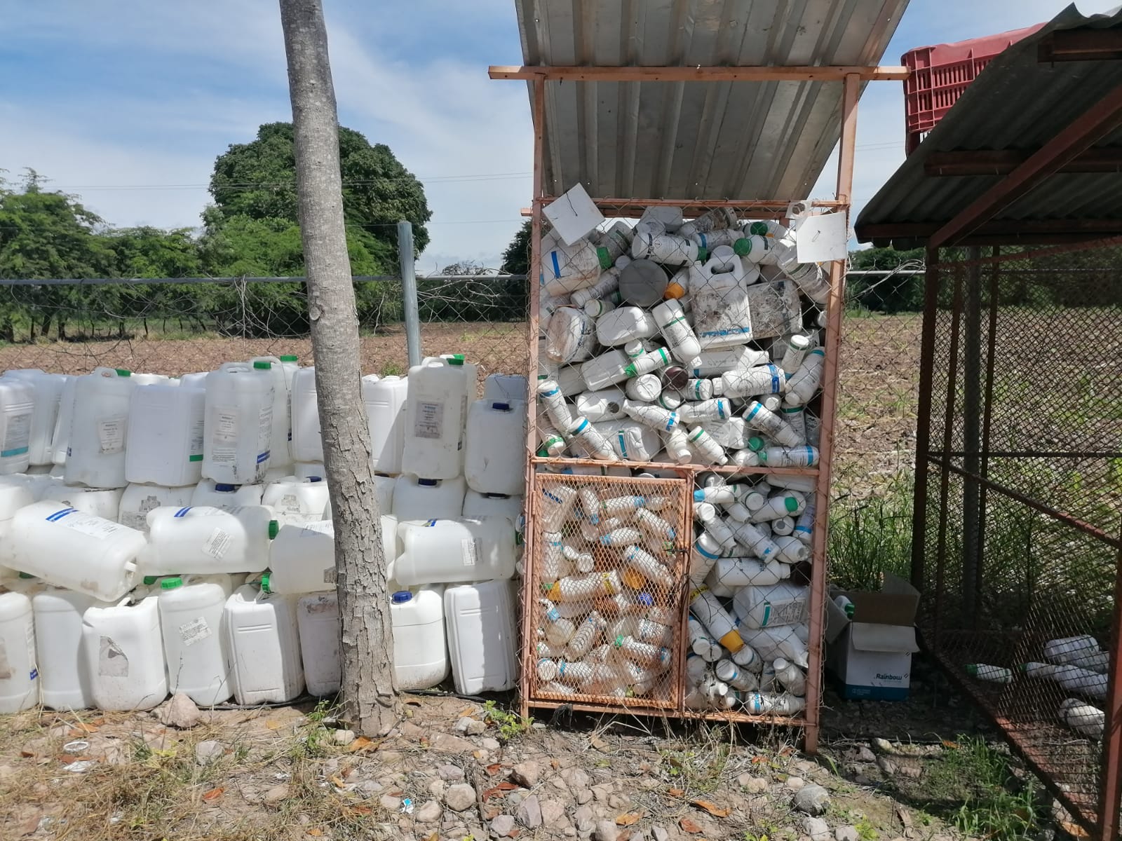 CampoLimpio/REVAP: recolección de envases vacíos de plaguicidas ...