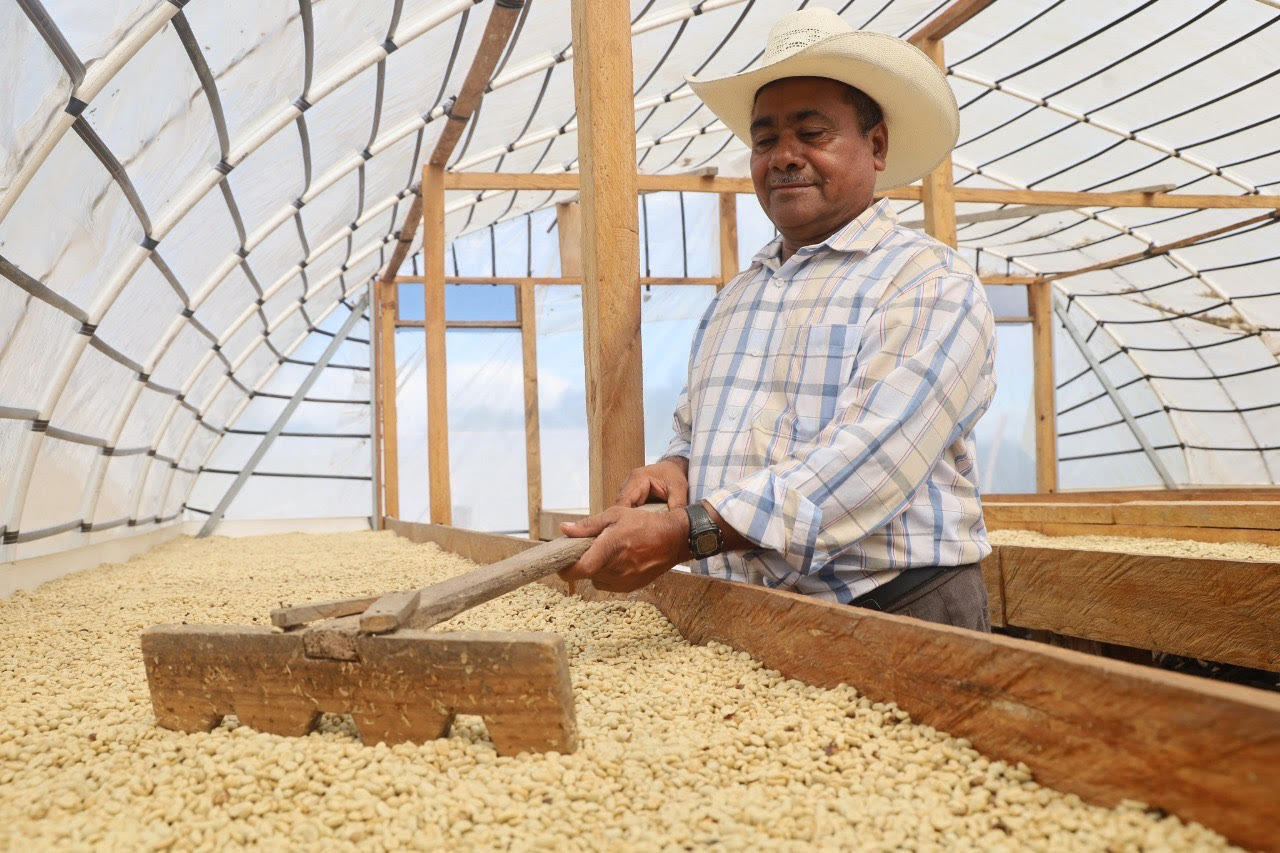 Determinan Vulnerabilidad En El Agro Agrodiario