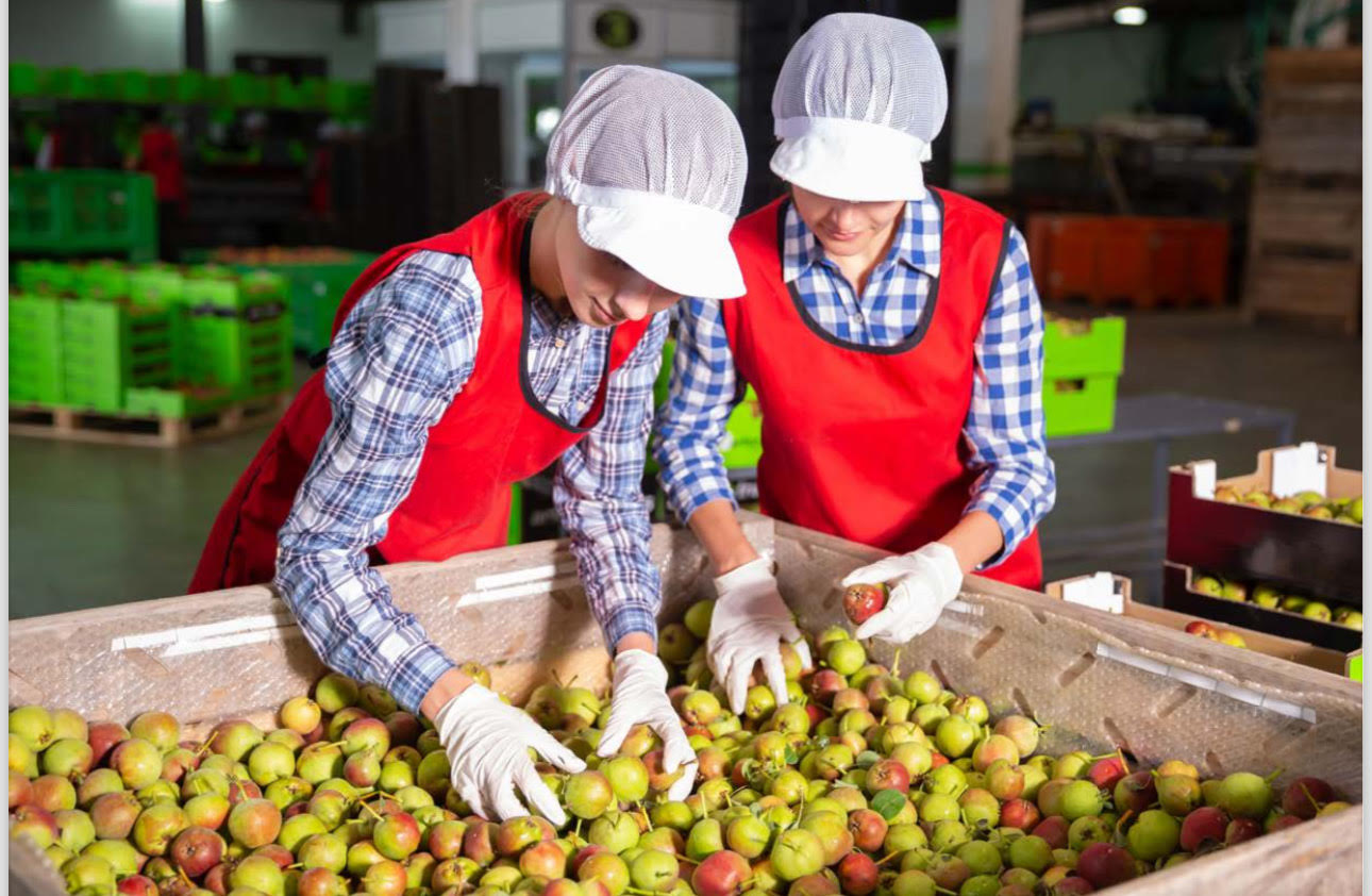 Presentan estudio de sistemas agroalimentarios - Agrodiario